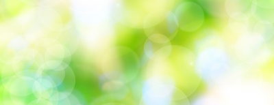 abstract spring green yellow background bokeh | Brenda Lainof ...